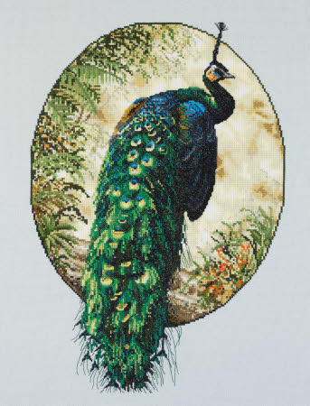Elegant Peacock (cross stitch kit)