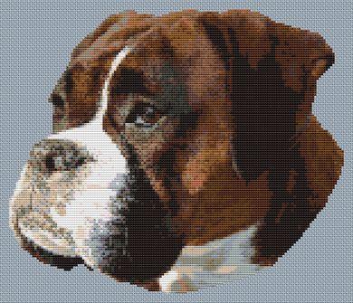"Boxer Beauty" by White Willow Stitching
