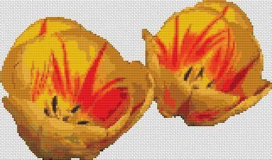 "Red - Yellow Tulips" by White Willow Stitching