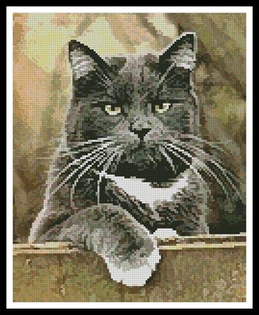 "Cat on a Fence" | Cross Stitch Pattern