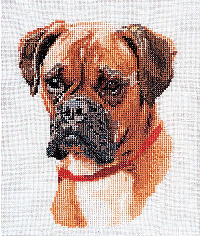 "Boxer on Linen" | Cross Stitch Kit
