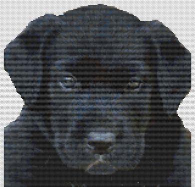"Black Lab Puppy" | Cross Stitch Pattern