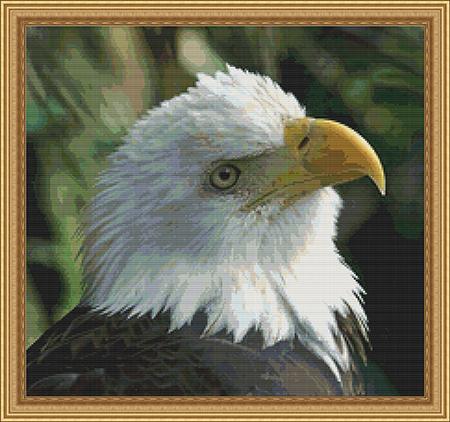 "Bald Eagle Cross Stitch" | Cross Stitch Pattern