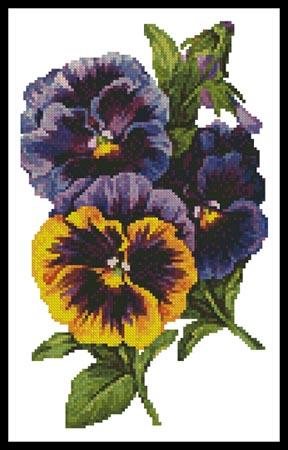 "Pansies 4" | Cross Stitch Pattern