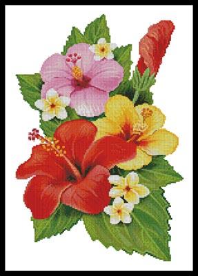 "Hibiscus Arrangement 3" | Cross Stitch Pattern