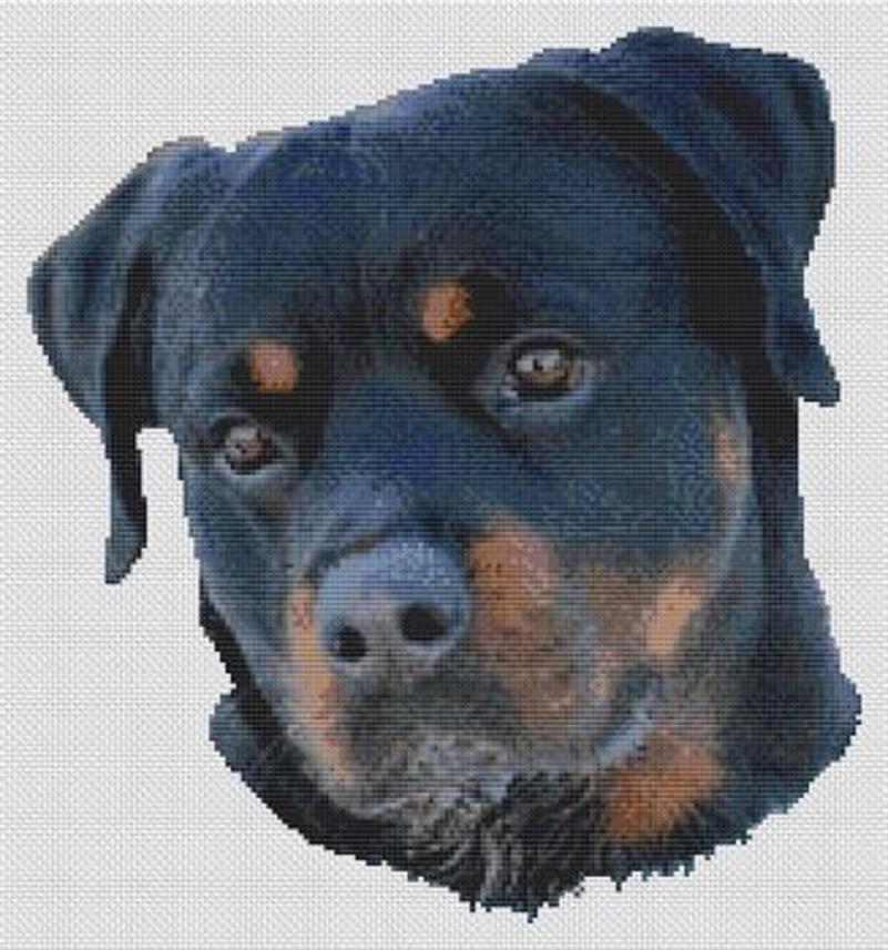"Rottweiler Serenity" | Cross Stitch Pattern