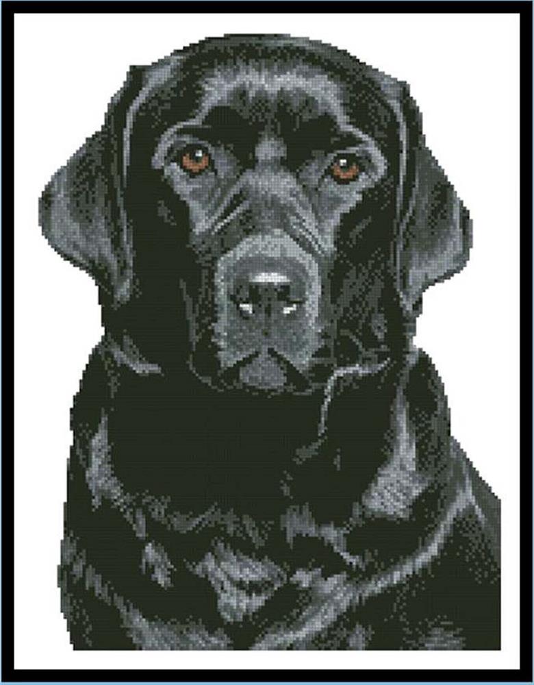 "Black Labrador" | Cross Stitch Pattern