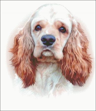 "American Cocker Spaniel" | Cross Stitch Pattern