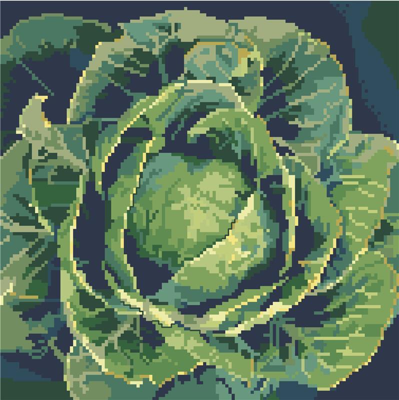 "Glorious Cabbage" | Cross Stitch Pattern
