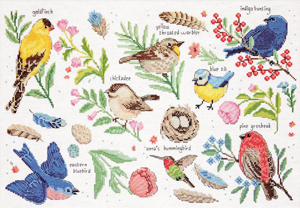 "Bird Study" | Cross Stitch Kit