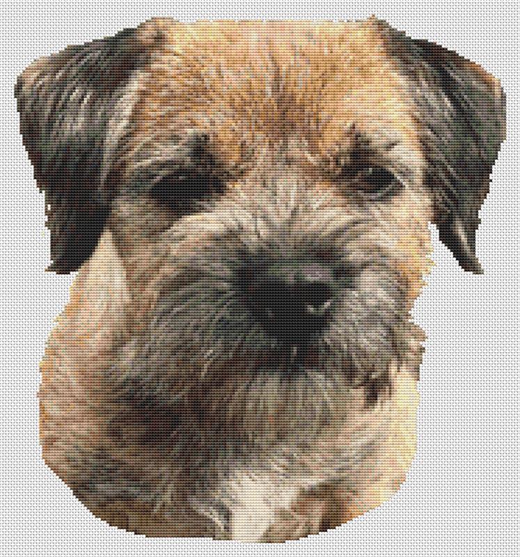"Border Terrier 2" | Cross Stitch Pattern