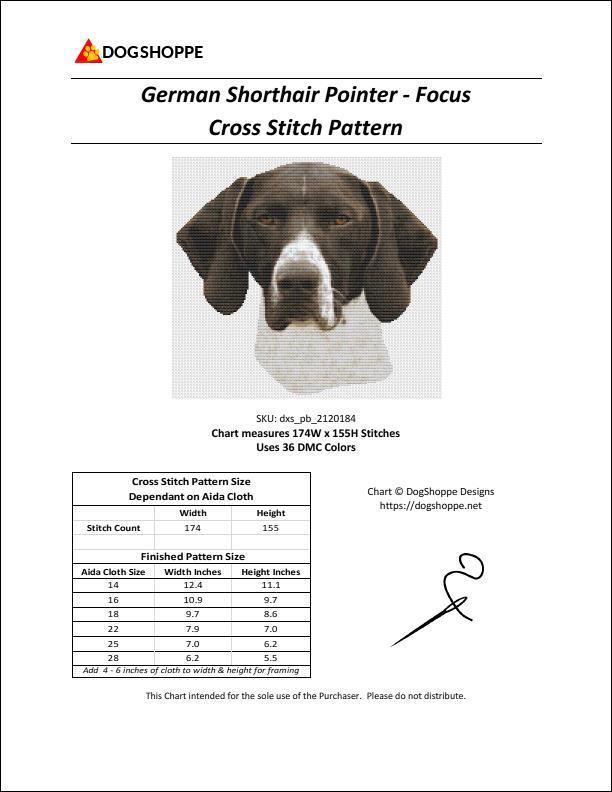 "German Shorthair Pointer - Focus"