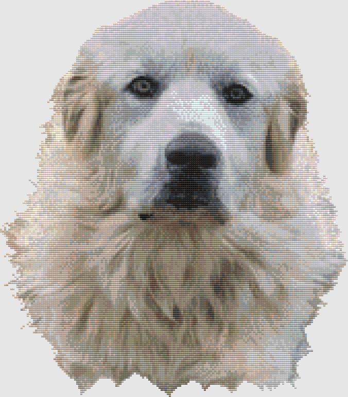 "Great Pyrenees - Portrait" | Cross Stitch Pattern
