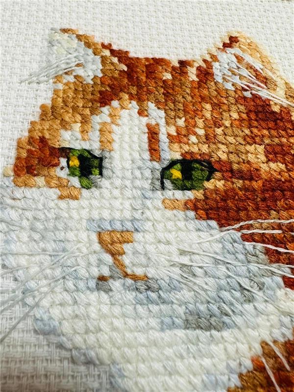 "Ginger Meow" | Cross Stitch Kit