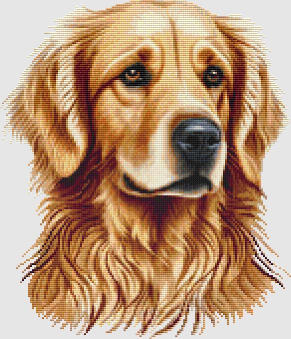Golden Retriever - Portrait IV | Cross Stitch Pattern