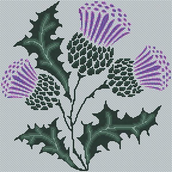 "Scottish Thistle" | Cross Stitch Pattern