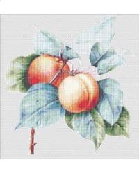 "Apricots" by The Art of Stitch