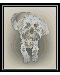 "Maltipoo" by Cody Country CrossStitch