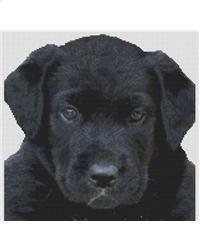 "Black Lab Puppy" | Cross Stitch Pattern