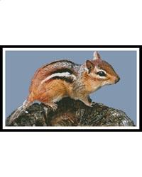 "Chipmunk" | Cross Stitch Pattern