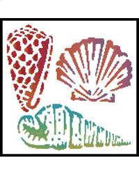"Sea Shells" | Cross Stitch Pattern