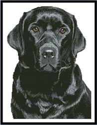 "Black Labrador" | Cross Stitch Pattern