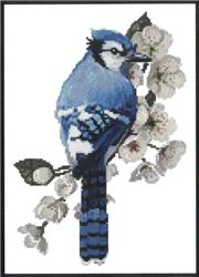 "Little Blue Jay" | Cross Stitch Pattern