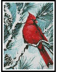 "Winter's Glory Red Bird (Crop)"
