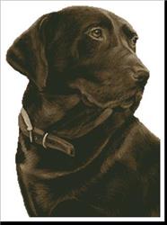 "Chocolate Labrador (No Background)"