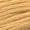 DMC 6-Strand Cotton Floss: 3827 golden brown - pl