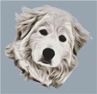 "Great Pyrenees" | Cross Stitch Pattern