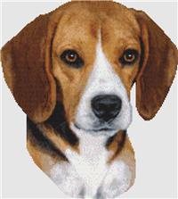"Beagle - Portrait (Tri)" | Cross Stitch Pattern