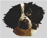 "Springer Spaniel Puppy" | Cross Stitch Pattern
