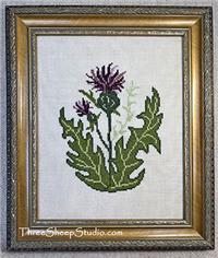 "Scottish Thistle" | Cross Stitch Pattern