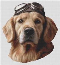 "Pilot Close-Up" | Cross Stitch Pattern