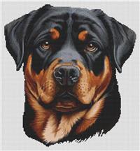 "Rottweiler Love" | Cross Stitch Pattern
