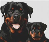 "Rottweiler Pair" | Cross Stitch Pattern