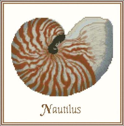 "Shell Nautilus" by PinoyStitch