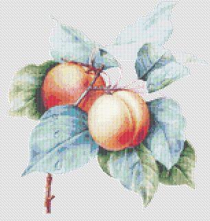 "Apricots" by The Art of Stitch