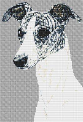 "Whippet II" by White Willow Stitching
