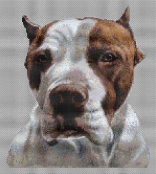 "American Pit Bull Terrier" by White Willow Stitching