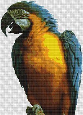 "Blue Macaw" by White Willow Stitching