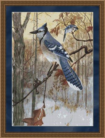 "Blue Jay Bird Cross Stitch" | Cross Stitch Pattern