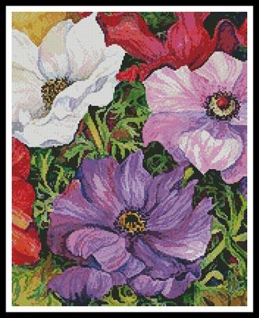 "Colourful Anemones (Crop)" | Cross Stitch Pattern
