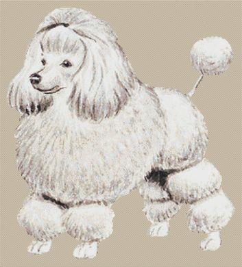 "Poodle" | Cross Stitch Pattern