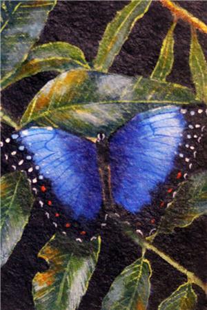 "Amazingly Blue" | Cross Stitch Pattern