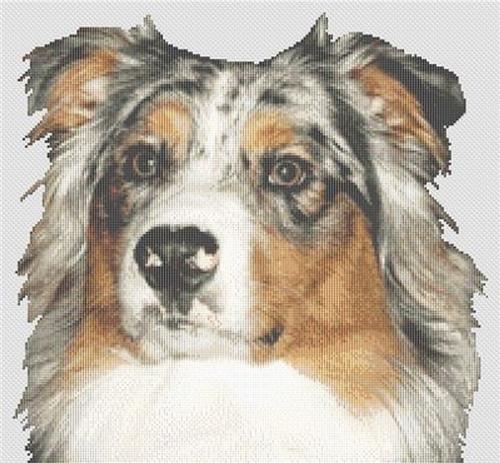 Australian Shepherd 2 | Cross Stitch Pattern