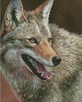 Coyote Profile | Cross Stitch Pattern