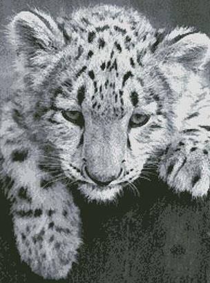 Snow Leopard Cub | Cross Stitch Pattern