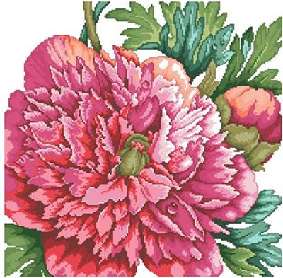 "A Perfect Peony" | Cross Stitch Pattern